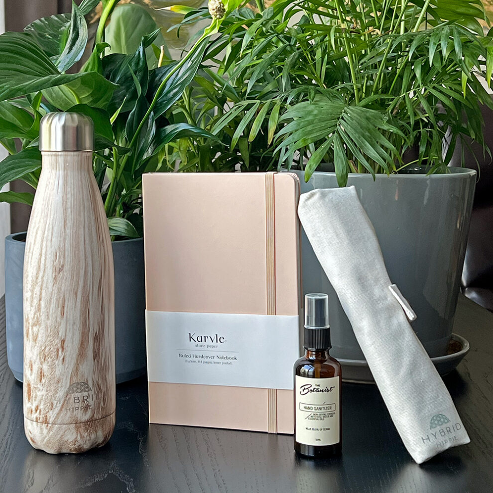 The Conscious Back To School Kit • Hybrid Hippie - Eco Store